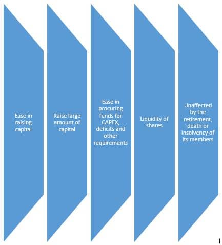What is a Public Company? Features, Advantages and Requirements.